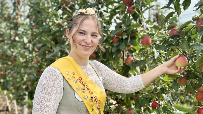 Obst vom Bodensee: Erwartet Apfelernte mit Spitzenqualität | Gabot.de