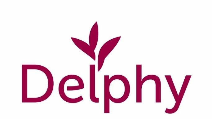 Delphy: Edwin van Lenthe zum neuen Geschäftsführer ernannt | Gabot.de