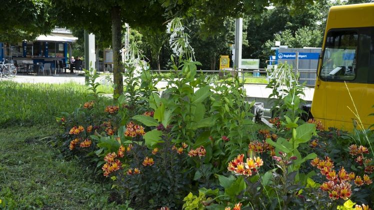 Verver Export: Erfolgreiche Bepflanzungen | Gabot.de