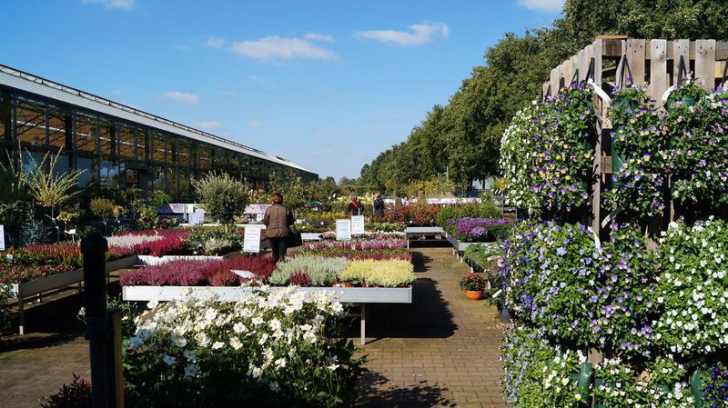 Groer Gartencenter In Holland