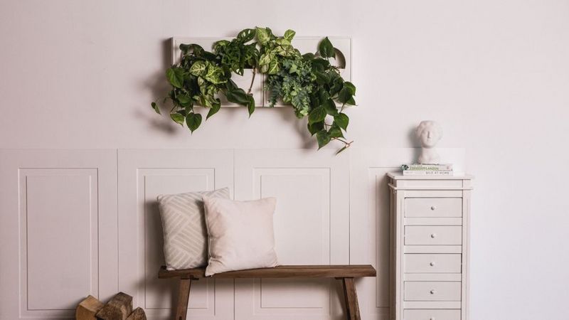Urban Greenery GmbH: BOX.3 - das Design-Statement für jede Wand | Gabot.de