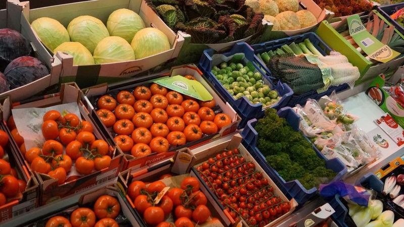 BOG: Internationaler Obst und Gemüsehandel | Gabot.de