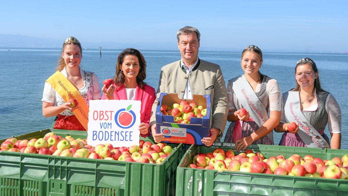 Bodensee-Äpfel: Saison eröffnet | Gabot.de