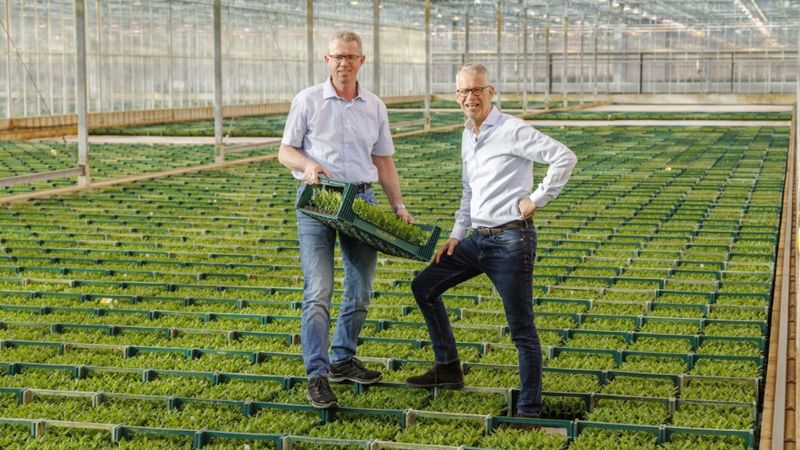 Deliflor: Macht nach Erreichen des Substratziels weiter | Gabot.de