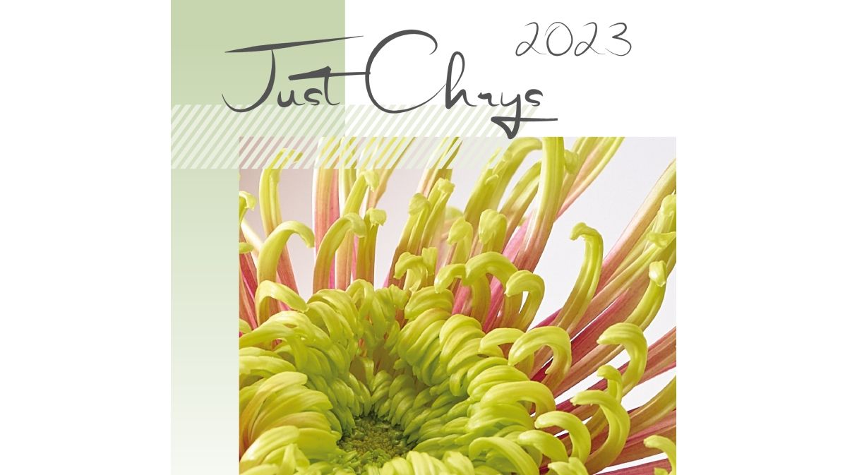 FDF: Neue Design-Kollektion "just chrys 2023" | Gabot.de