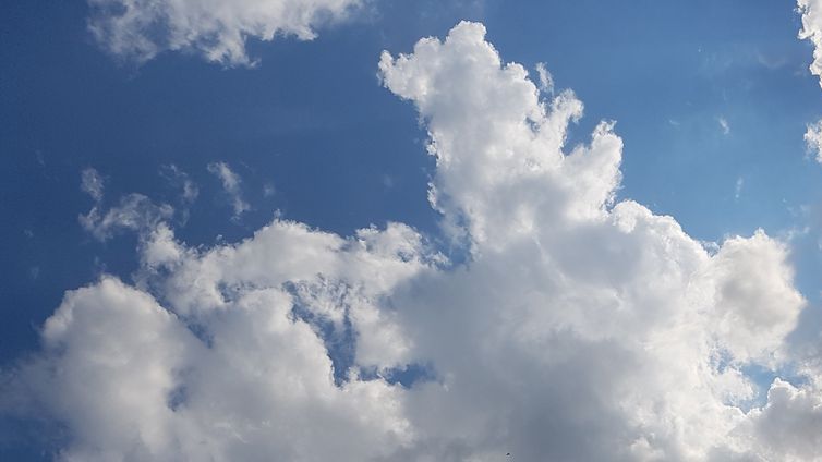 DWD: Das Wetter im Jahr 2019 | Gabot.de