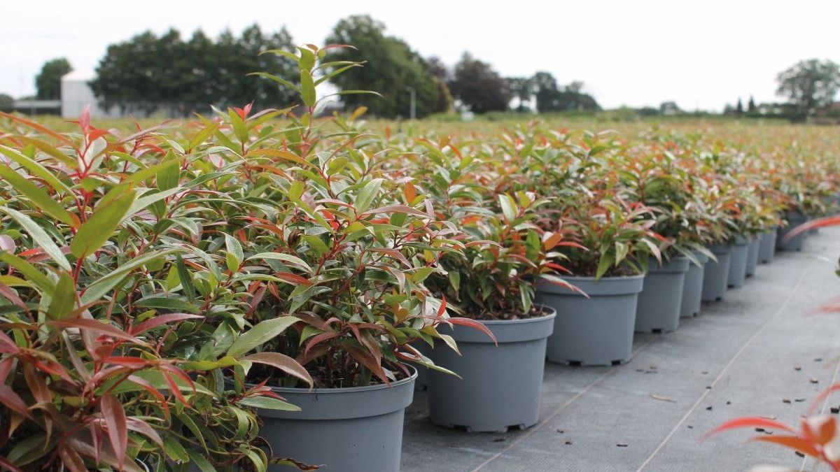 Pöppelmann TEKU®: Neue Produkte | Gabot.de