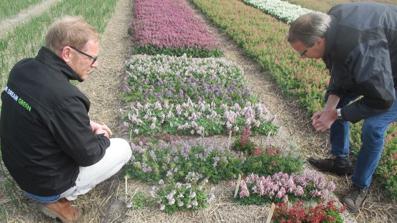 Verver: Die Suche nach Neuheiten | Gabot.de