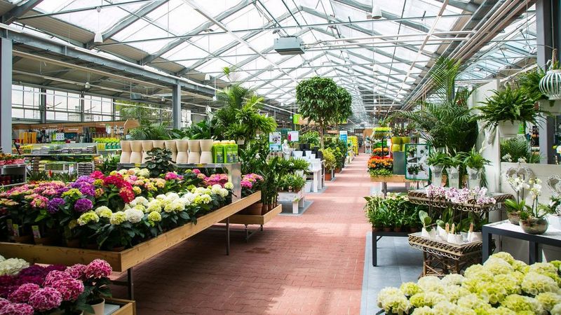 Neu im Dehner-Design: Gartencenter in Münster, Osnabrück und Rheine ...