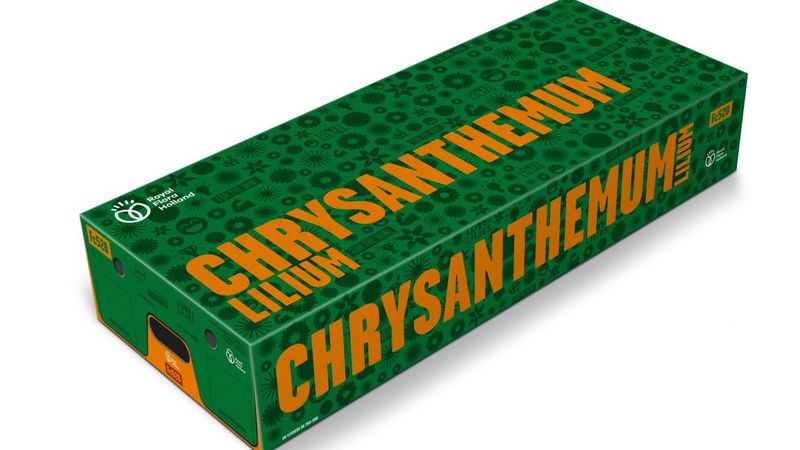 Just Chrys: Neue Chrysanthemenskartons Fc520 | Gabot.de