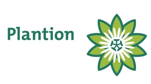 Plantion: Wird modernisiert | Gabot.de