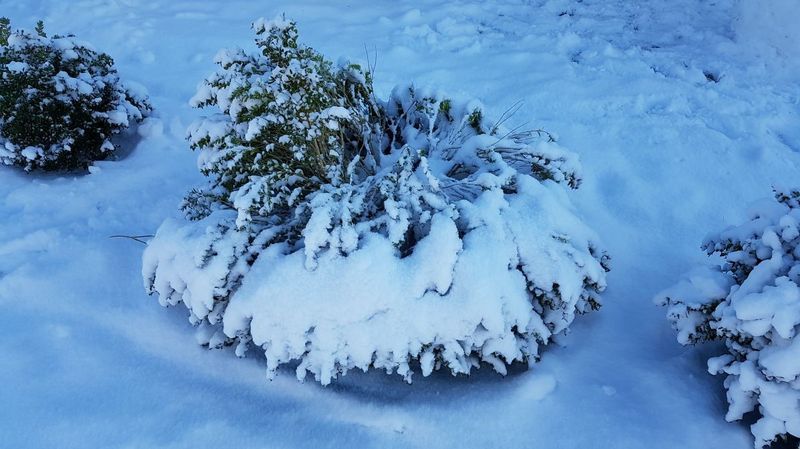 DWD: Deutschlandwetter im Winter 2025/2026 | Gabot.de
