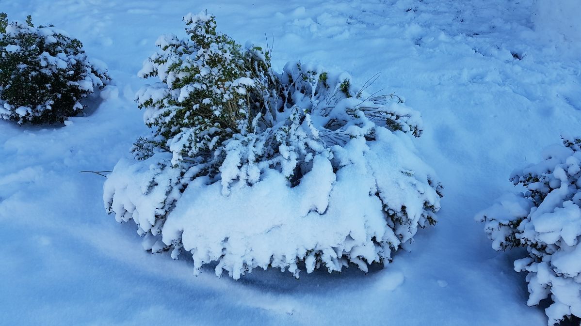 DWD: Deutschlandwetter im Winter 2025/2026 | Gabot.de