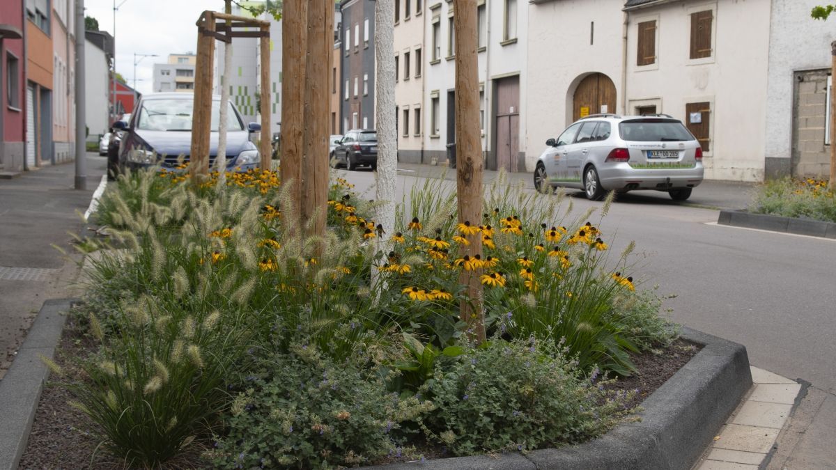 Verver Export: Von der Wärmeinsel zur grünen Oase | Gabot.de